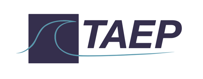 Découvrez TAEP, la junior-entreprise d'ENSTA-PARIS